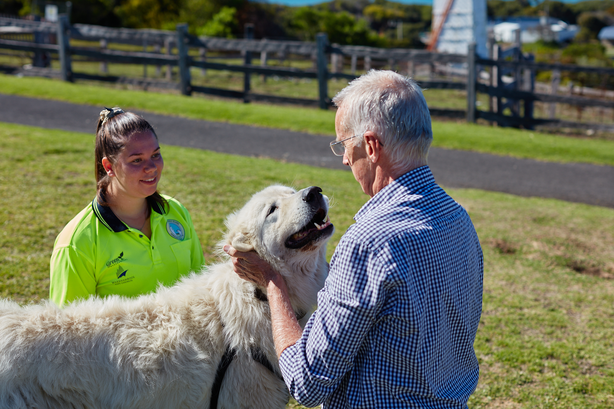 Our maremma dogs | Warrnambool City Council